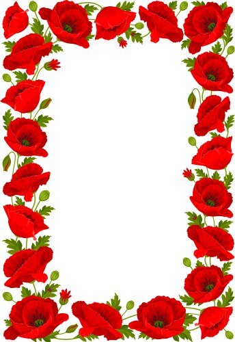 Red poppy seamless border Royalty Free Vector Image