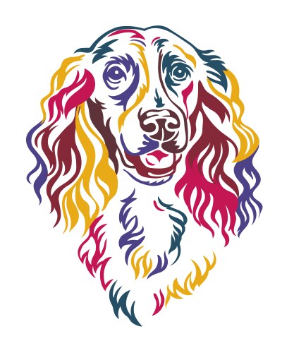 Cute sporting dog breed american cocker spaniel Vector Image