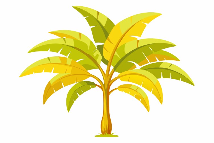 Big banna tree silhouette s Royalty Free Vector Image