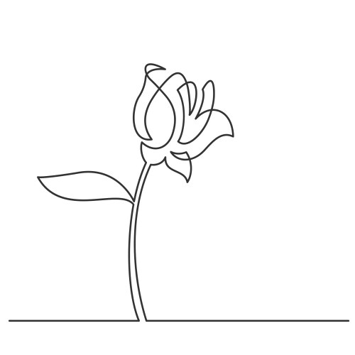 Flowers decoration row border continuous one line Vector Image