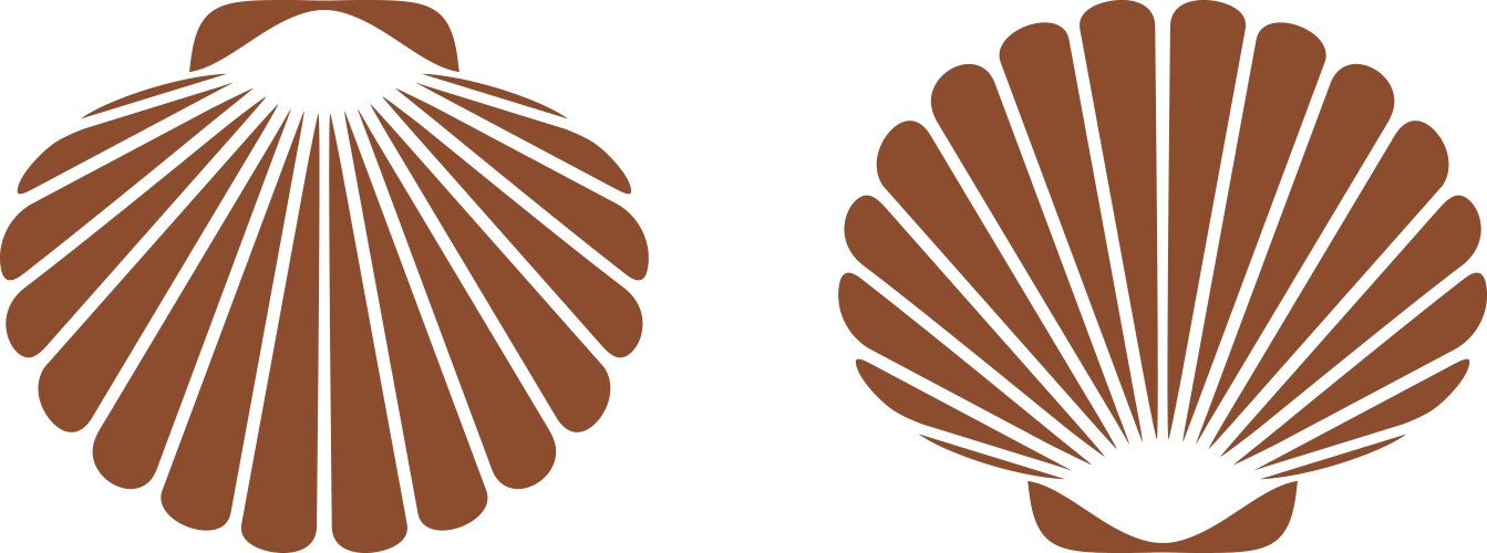 Scallop Royalty Free Vector Image - VectorStock