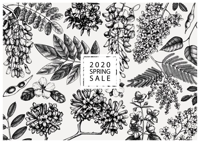 Jasmine Tree Vector Images (over 840)