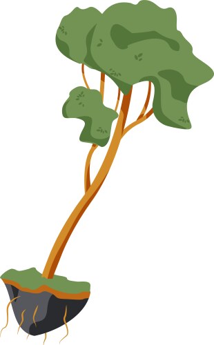 Flat birch Royalty Free Vector Image - VectorStock