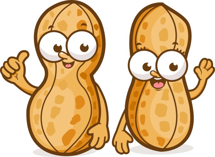 Set icon peanuts Royalty Free Vector Image - VectorStock