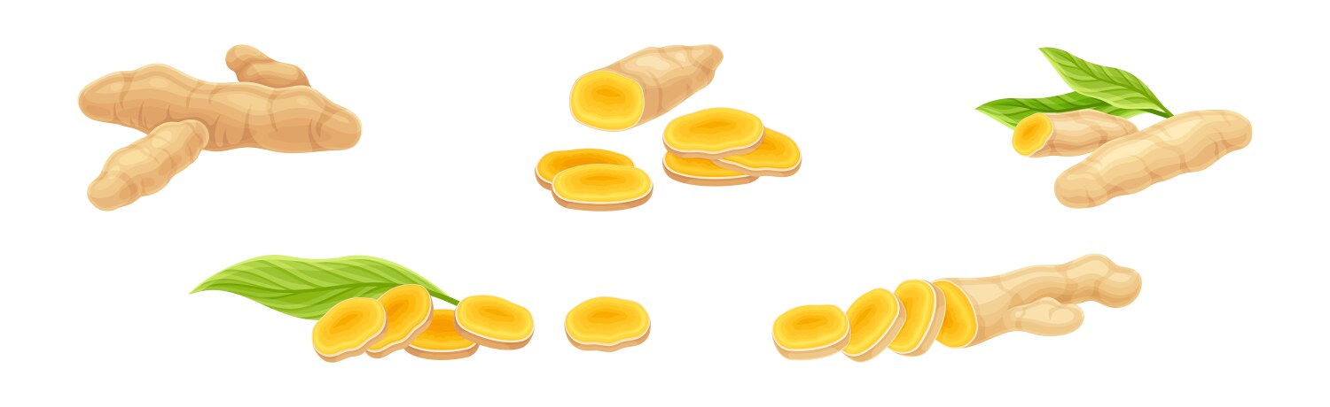 Turmeric Vector Images (over 3,100)