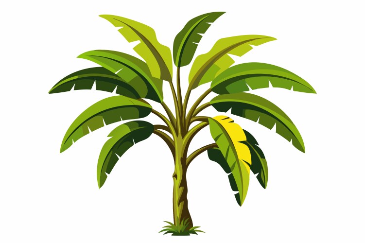 Big banna tree silhouette s Royalty Free Vector Image