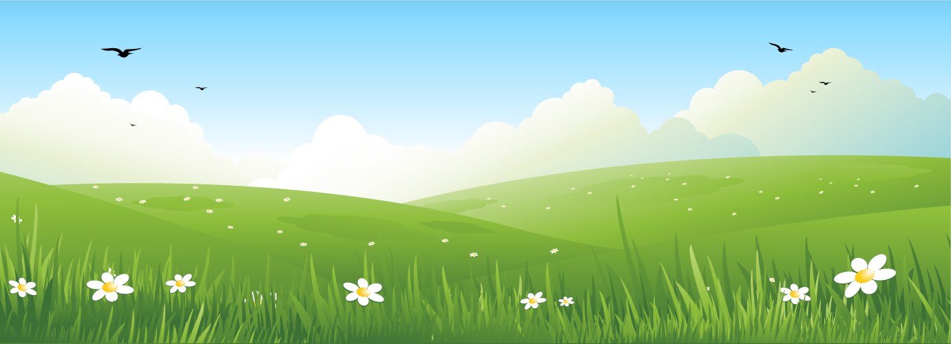 Meadow field background Royalty Free Vector Image
