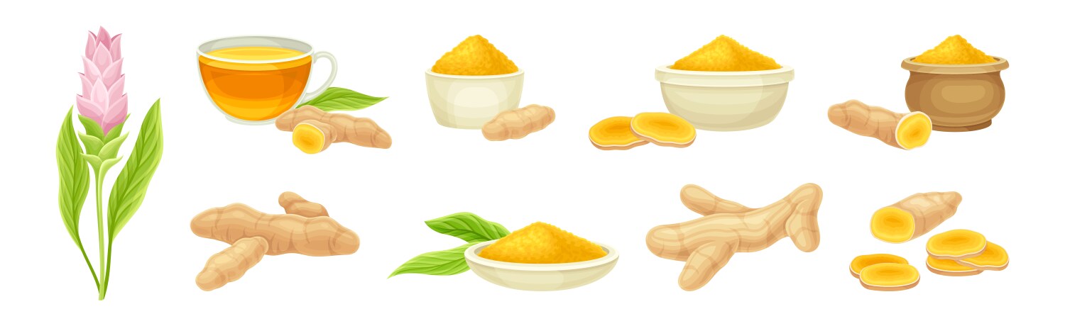 Turmeric Vector Images (over 2,800)