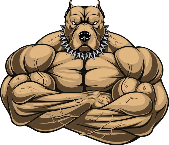 Strong ferocious dog Royalty Free Vector Image