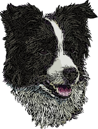 Border Collie Vector Images (over 1,500)