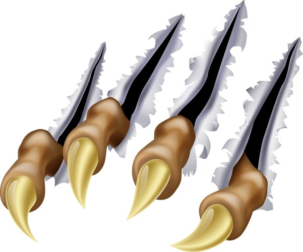 Claw Rip Vector Images (over 1,100)
