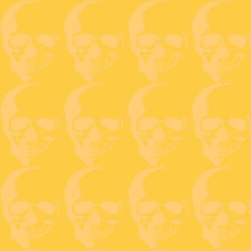 Skulls and roses collage background with several Vector Image