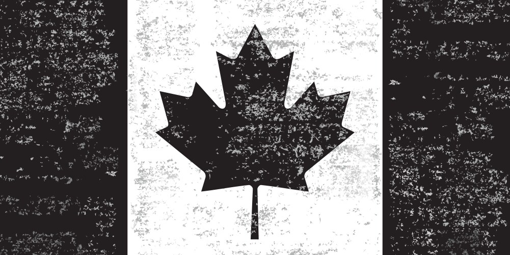 Canadian Flag Distressed Vector Images (49)