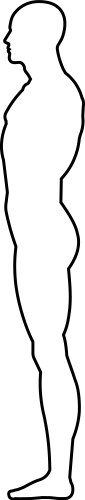 Human Body Side View Vector Images (over 2,600)