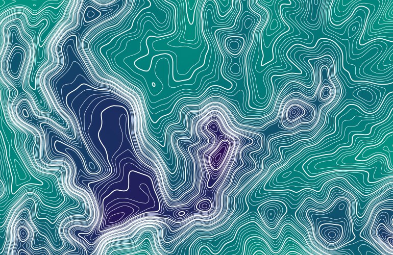 Topographic background contouring topographics Vector Image