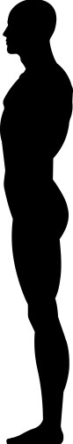 Human Side Silhouette Vector Images (over 5,600)