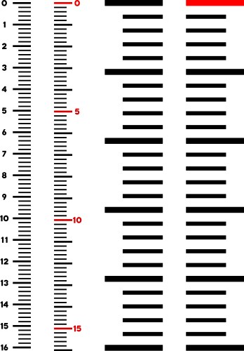 Graduated ruler Royalty Free Vector Image - VectorStock