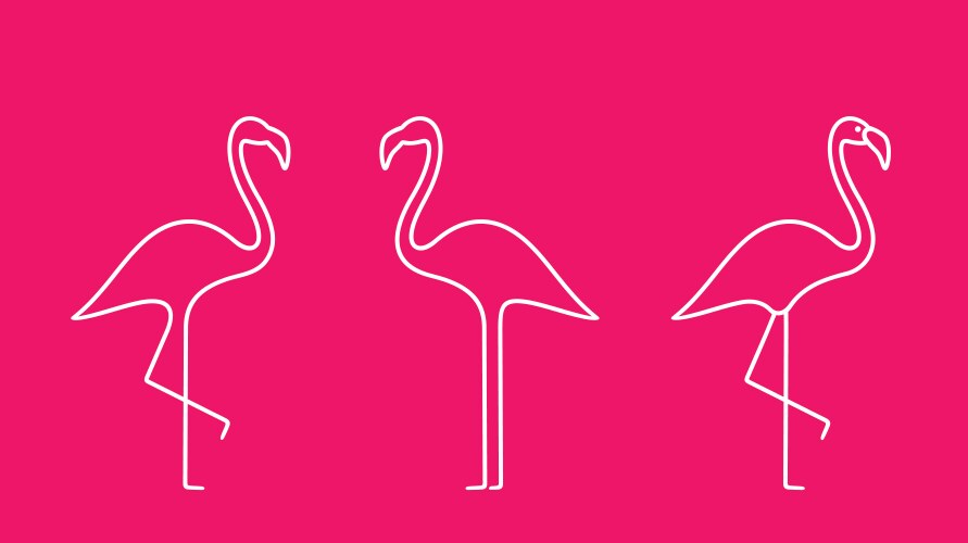 Flamingo Royalty Free Vector Image - VectorStock
