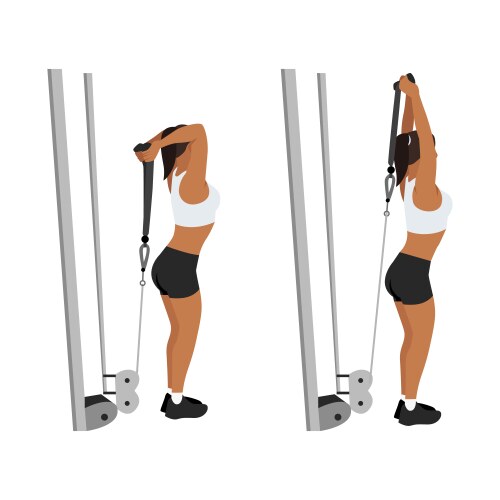 Woman doing dumbbell triceps extension exercise Vector Image