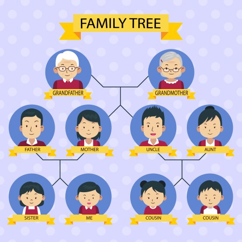 Family Tree Diagram - Hand Drawn – Royalty-Free Vector | VectorStock