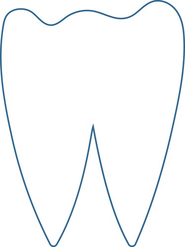 Tooth outline Royalty Free Vector Image - VectorStock