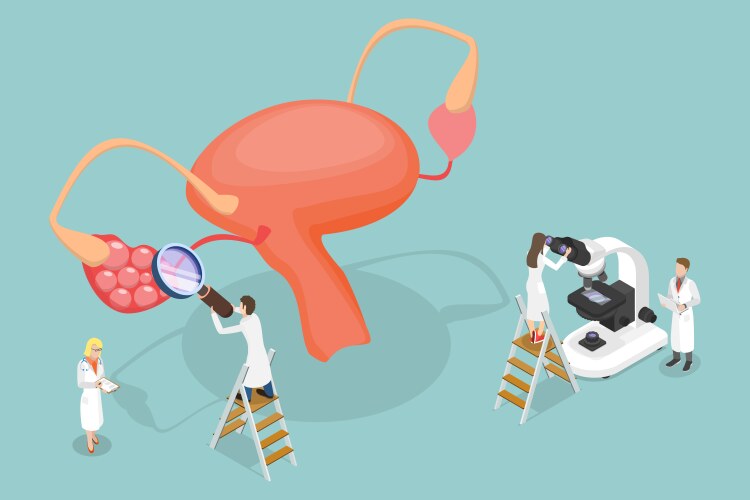 Pcos Vector Images (over 240)