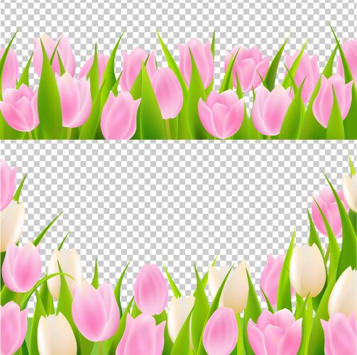 Spring flower borders Royalty Free Vector Image