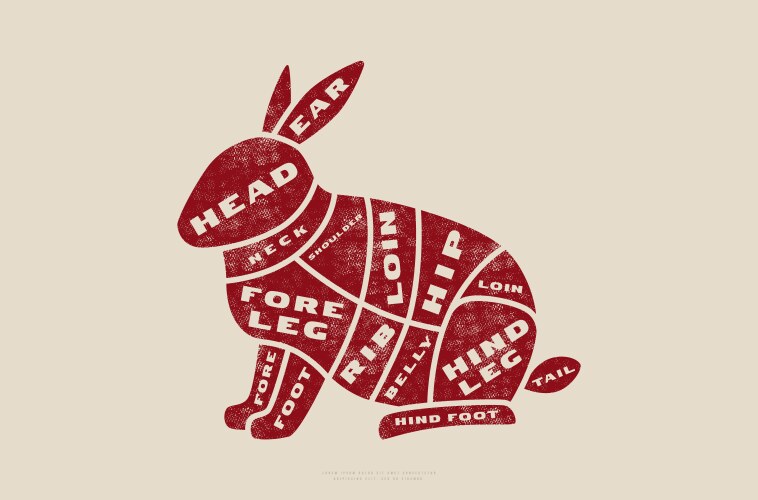 Rabbit cuts diagram Royalty Free Vector Image - VectorStock