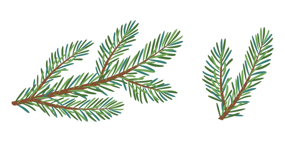 Christmas larch pine spruce branch set hand Vector Image