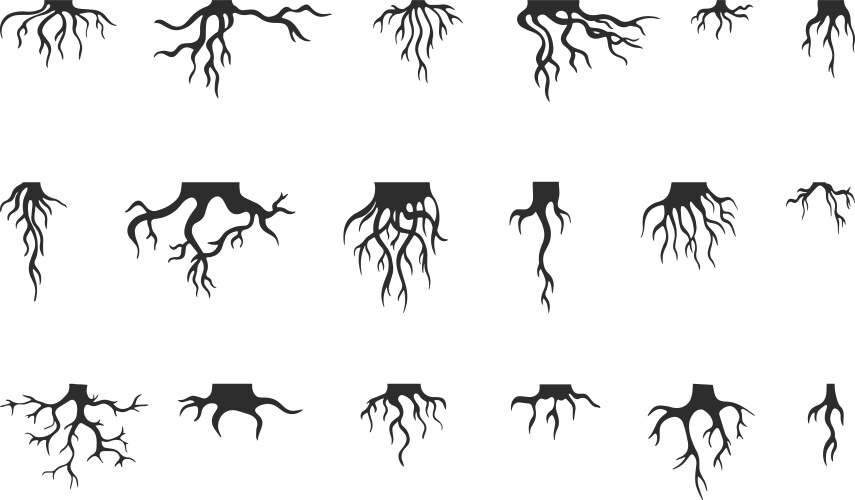 Tree Roots Black and White Vector Images (over 2,900)