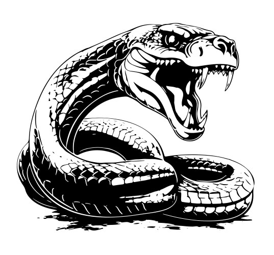 Rattlesnake Snake Head Vector Images (over 380)