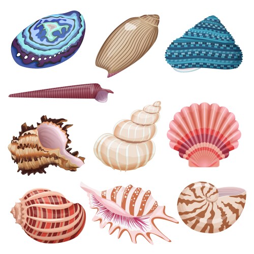 Seashells Vector Images (over 35,000)