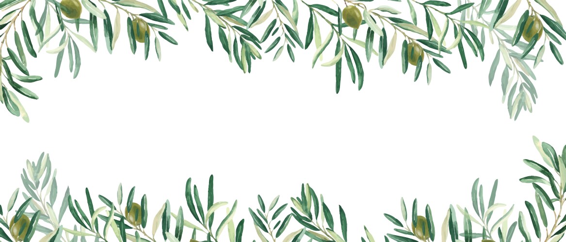 Horizontal frame border with olive branches Vector Image