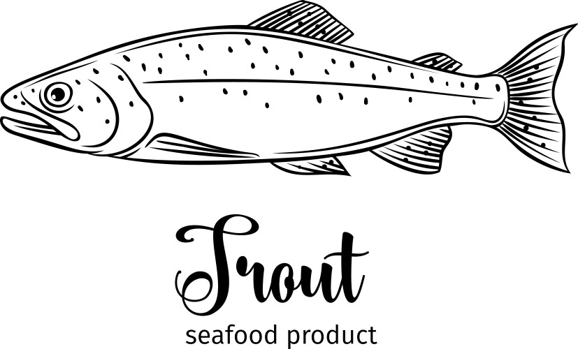 Trout Vector Images (over 13,000)