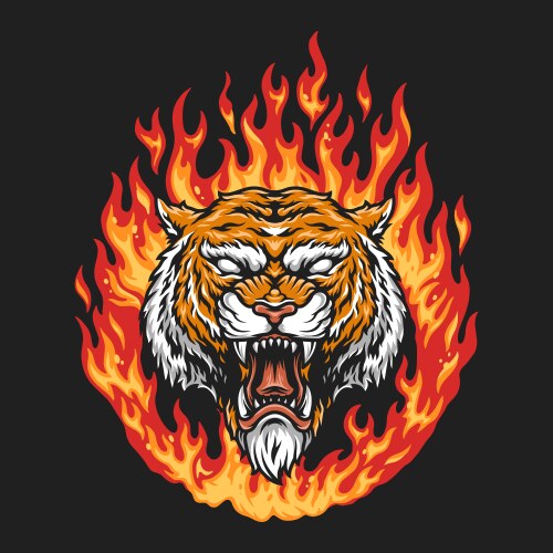 Tiger Fire Logo Fire Tiger PNG Images, Fire Tiger Clipart Free