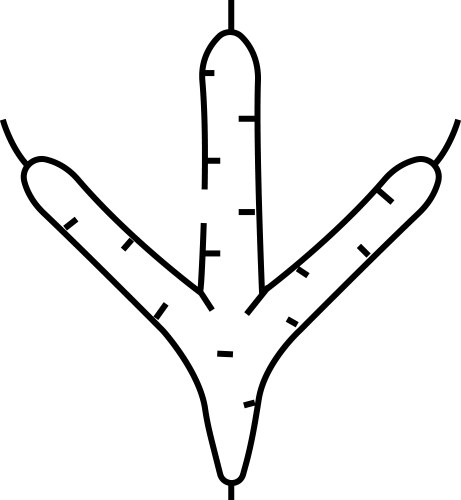 Chicken Foot Print Vector Images (over 830)