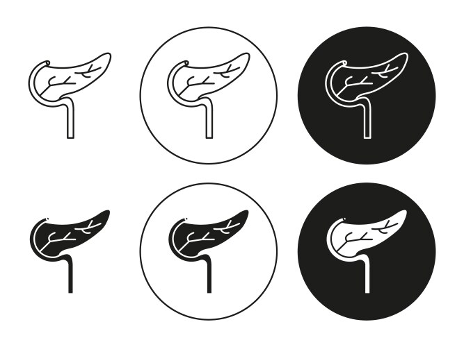 Human body anatomy icon black and white outline Vector Image