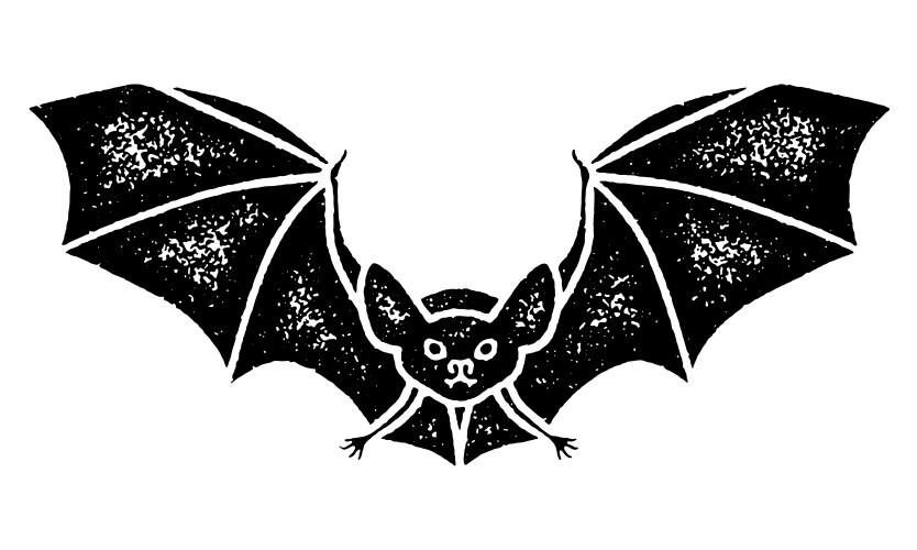Bat wings with crown Royalty Free Vector Image