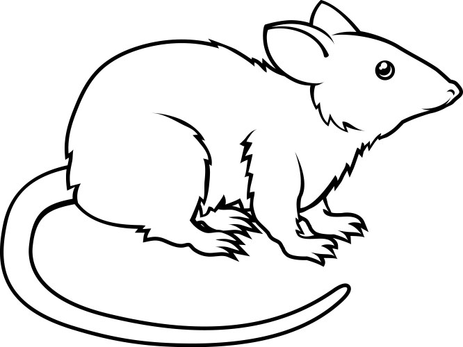 Rat Vector Images (over 30,000)