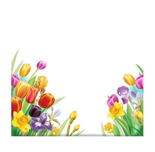 Background with spring flowers Royalty Free Vector Image