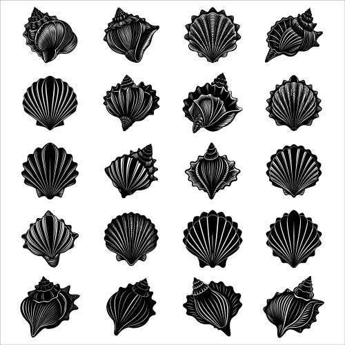 Seashell Cut Out Vector Images (over 340)