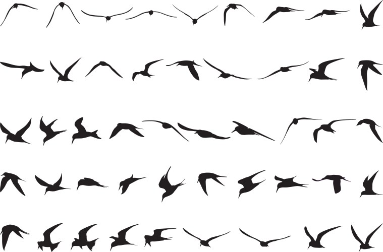 Little Vector Images (over 620,000)