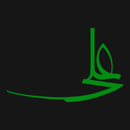 Imam ali name arabic calligraphy design Royalty Free Vector