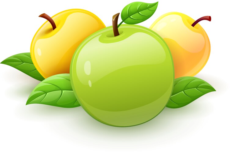 Green apple fruit Royalty Free Vector Image - VectorStock