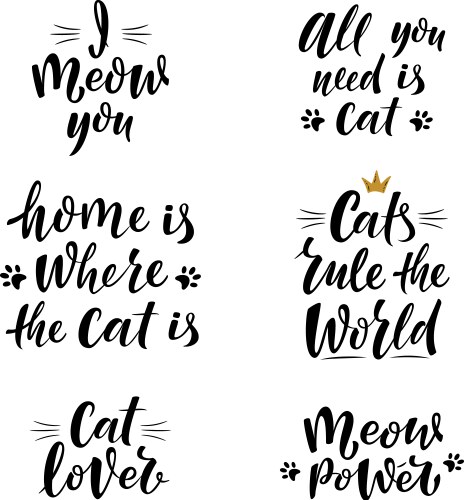 All you need is cat handwritten sign modern brush Vector Image