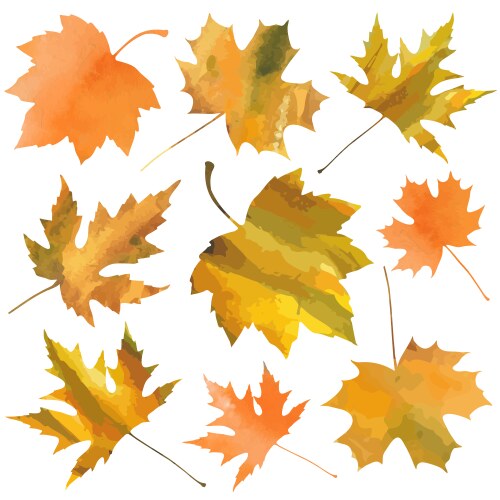 Fall Vector Images (over 470,000)