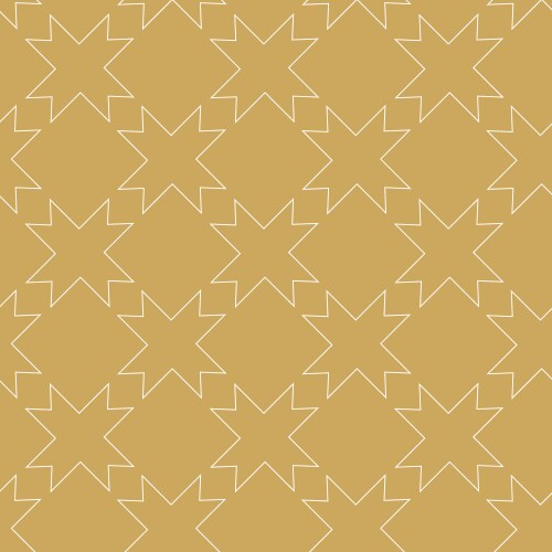 Abstract geometric pattern with crosses stripes Vector Image