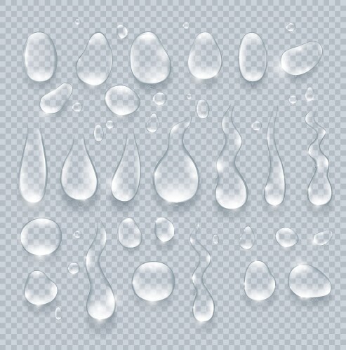 Water drops Royalty Free Vector Image - VectorStock