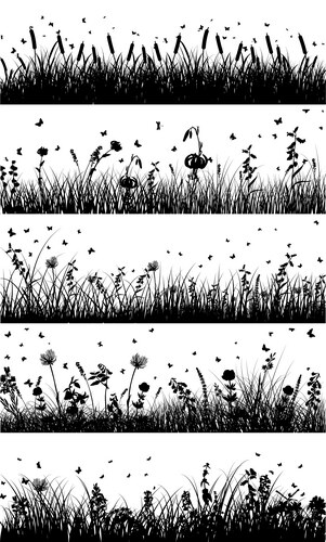 Wheat and grass Royalty Free Vector Image - VectorStock