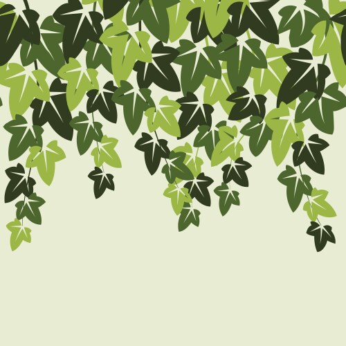 Ivy Vector Images (over 4,800)